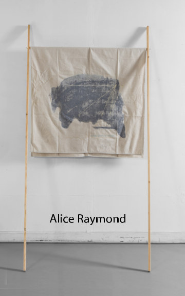 Alice Raymond : Booklet of selected works by Alice Raymond | Blurb ...