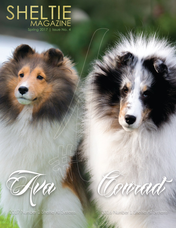 Sheltie Magazine, Spring 2017, Issue No. 4 by ModPosh Publishing, LLC ...