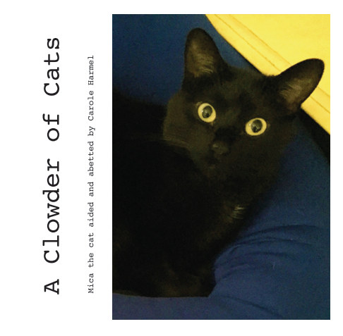 Clowder of Cats Pages.indd by Carole Harmel | Blurb Books