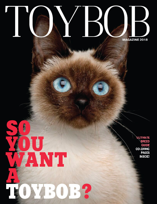 TOYBOB by International Toybob Cat Club | Blurb Books