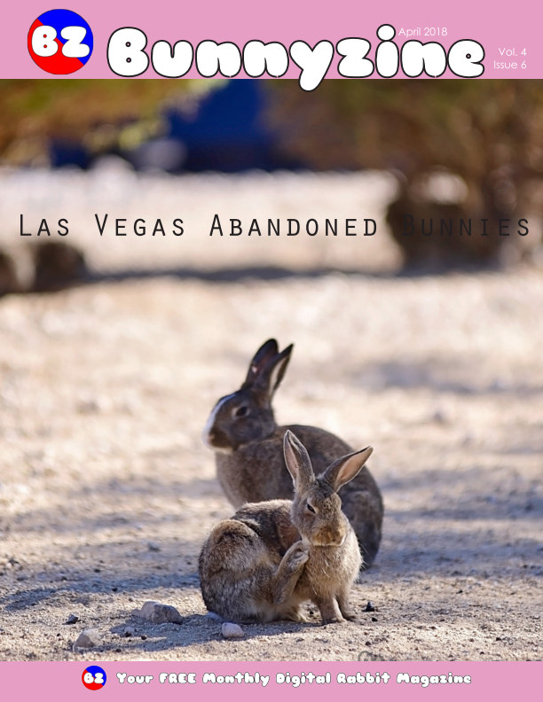 Bunnyzine Volume 4 Issue 6 - Las Vegas Bunnies by Dustin Campbell ...