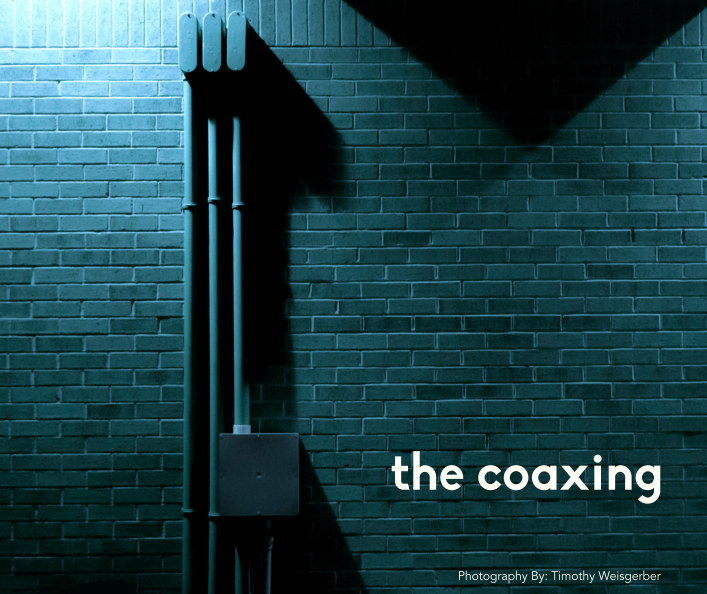 The Coaxing by Timothy Weisgerber | Blurb Books