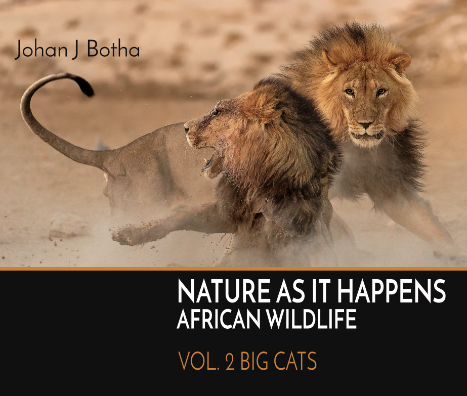 Nature As It Happens: African Wildlife by Johan J Botha | Blurb Books
